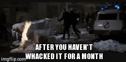 Whacking it for the first time in a month - Imgflip