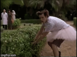 carrey jump bushes - Imgflip