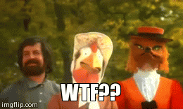 WTF is happening? - Imgflip