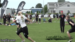 Beach Celebration - ECC - Imgflip