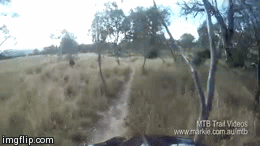 Emu attack - GoPro - Imgflip