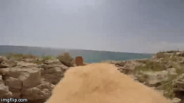 Run Walter, RUN!! - Imgflip