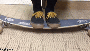 Sector 9 Chamber Flex - Imgflip