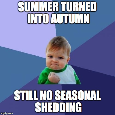 Success Kid Meme - Imgflip