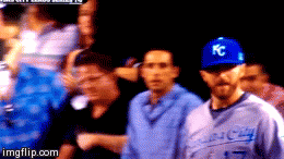 Royals fan gets smacked by Angels fan - Imgflip