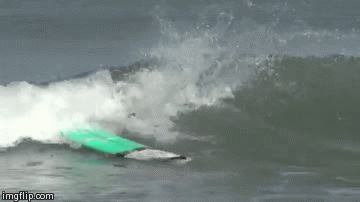 surfing in heels - Imgflip