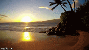 Dream Beach - Imgflip