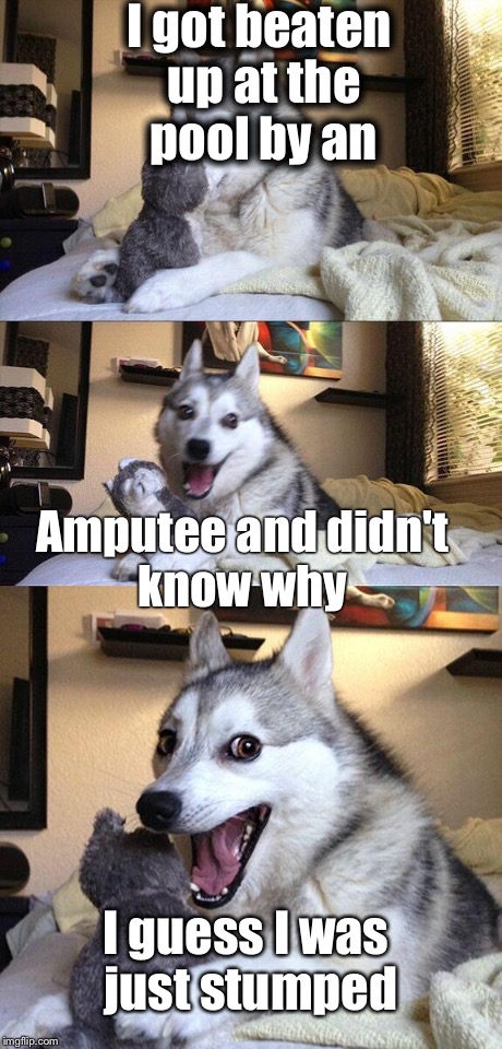 Bad Pun Dog Meme - Imgflip