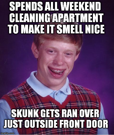 Bad Luck Brian Meme - Imgflip