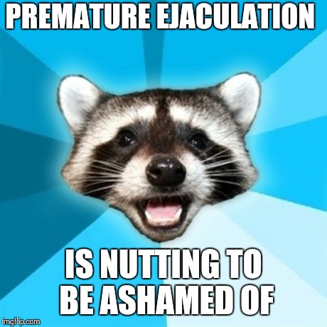 Lame Pun Coon Meme - Imgflip