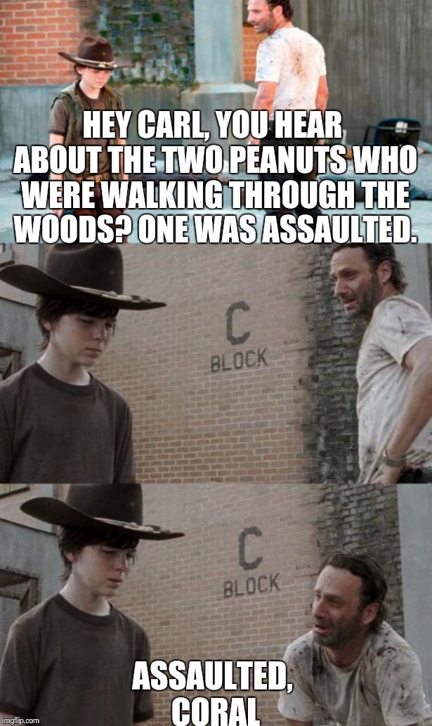 Rick and Carl 3 Meme - Imgflip