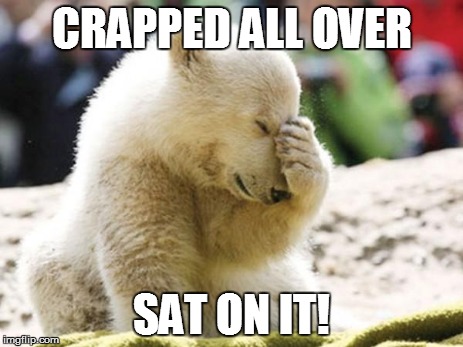 regretful bear Memes & GIFs - Imgflip