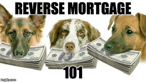 Image tagged in dag cash - Imgflip