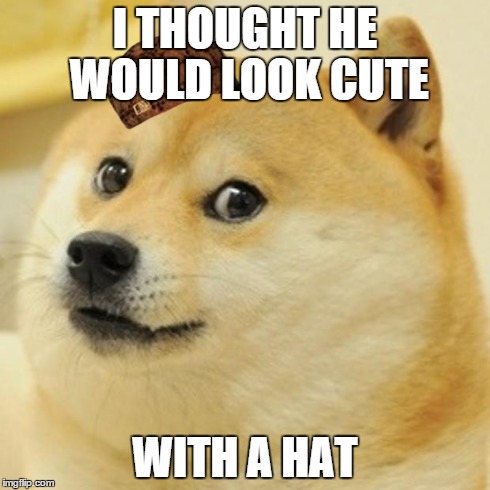 Doge Meme - Imgflip