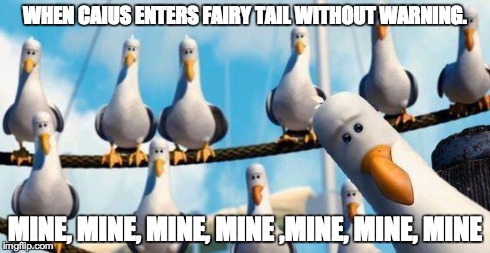 Nemo Birds - Imgflip