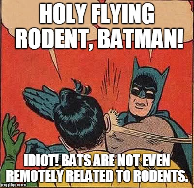 Batman Slapping Robin Meme - Imgflip