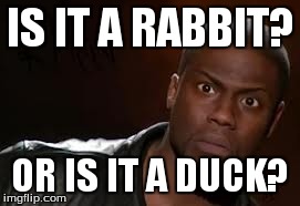 Kevin Hart Meme - Imgflip