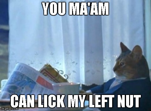 I Should Buy A Boat Cat Meme - Imgflip