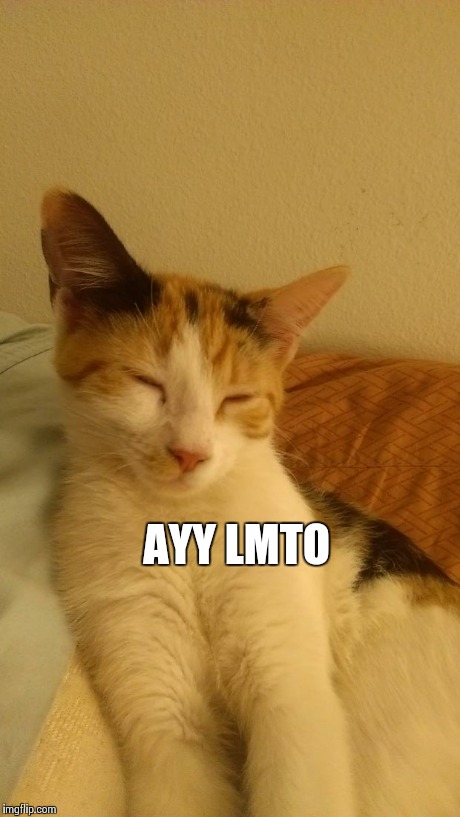 Image tagged in ayy lmto - Imgflip
