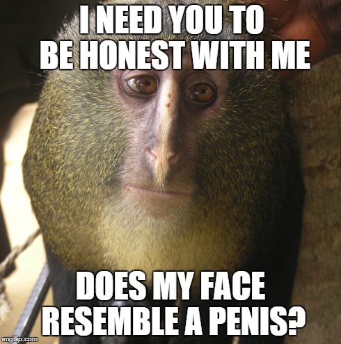 be honest with me - Imgflip