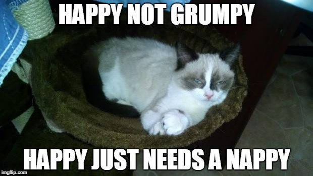 Image tagged in happy not grumpy - Imgflip