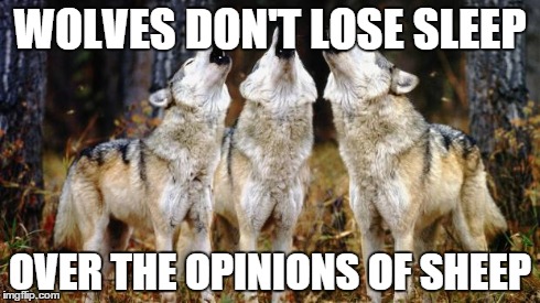 Wolves - Imgflip