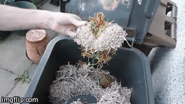 rubber band expansion - Imgflip