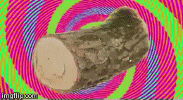 LOGS!!! - Imgflip