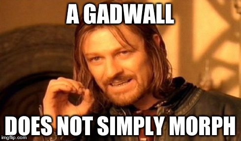 One Does Not Simply Meme - Imgflip