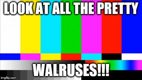 TV Test Card color - Imgflip