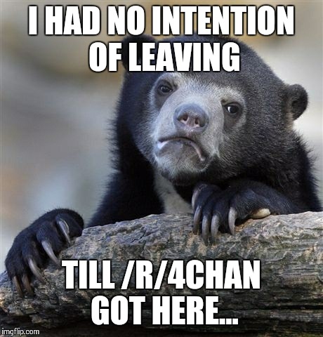 Confession Bear Meme - Imgflip