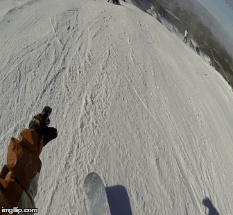 PILLO SIMIO - Imgflip