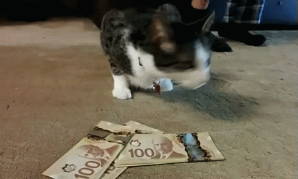 Now I aint saying he a gold digger - Imgflip