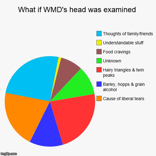 What if WMD's head was examined - Imgflip