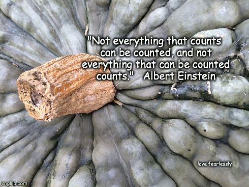 Pumpkin Einstein - Imgflip