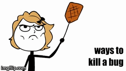 Ways to Kill A Bug - Imgflip