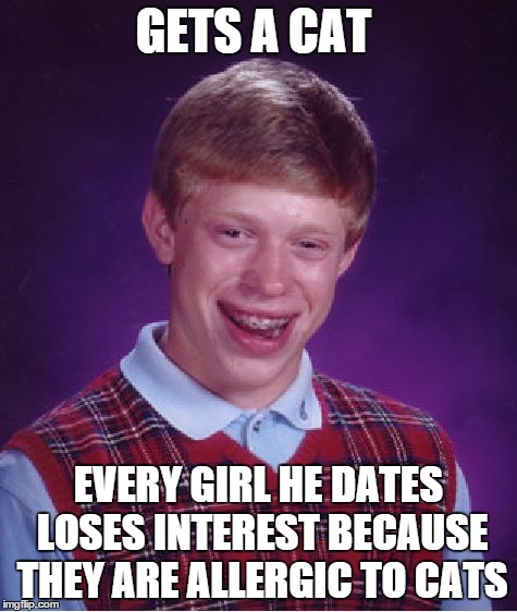 Still love my cat, even if I can't keep a girl around - Imgflip