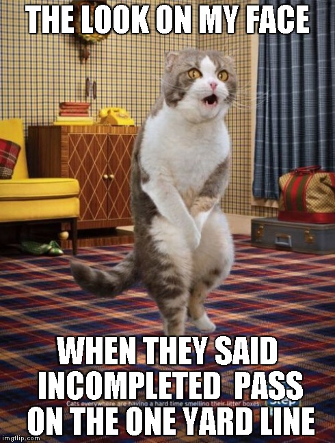 Gotta Go Cat Meme - Imgflip