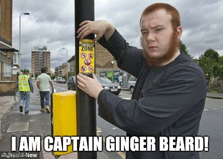 Captain Ginger Memes Bancks' Ginger Meggs By Tristan Bancks & Jason