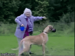 Grandma Flying - Imgflip