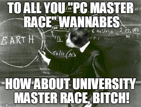 Image tagged in university cat,cats - Imgflip