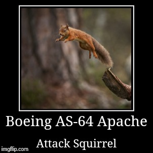 Apache Attack Squirrel: Don't make him mad - Imgflip