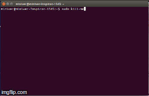 Sudo, kill me. - Imgflip