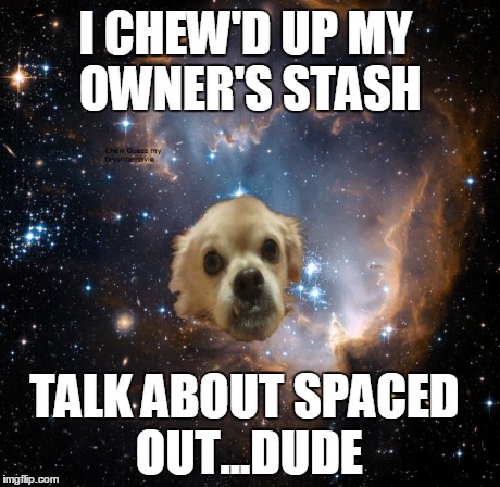 Image tagged in snarlcarl in space - Imgflip