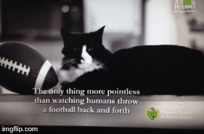 Nihilist Cat - Imgflip