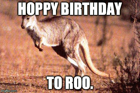 Image tagged in wallaroo - Imgflip