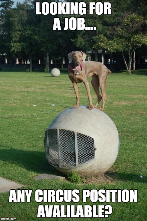 Image tagged in cirque - Imgflip