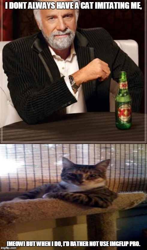 Image tagged in the most interesting man in the world,the most ...