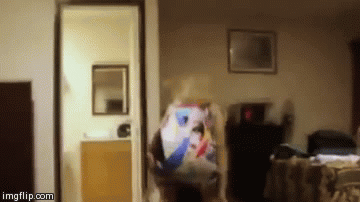 Backflip fail - Imgflip