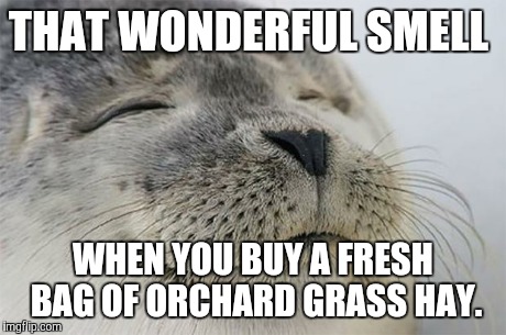 Fresh Hay. - Imgflip